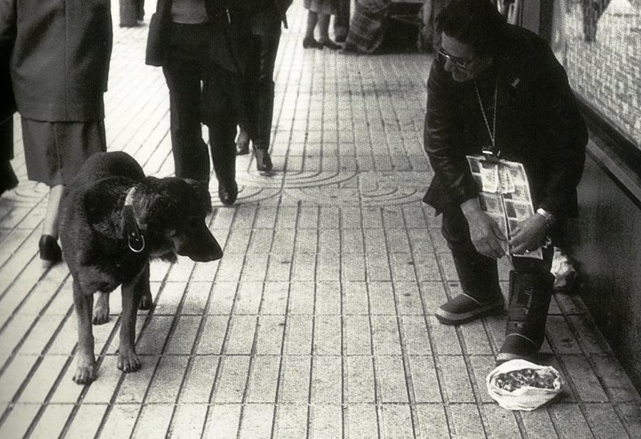 En Oviedo le hicieron un hermoso homenaje a Rufo, un perro que ...