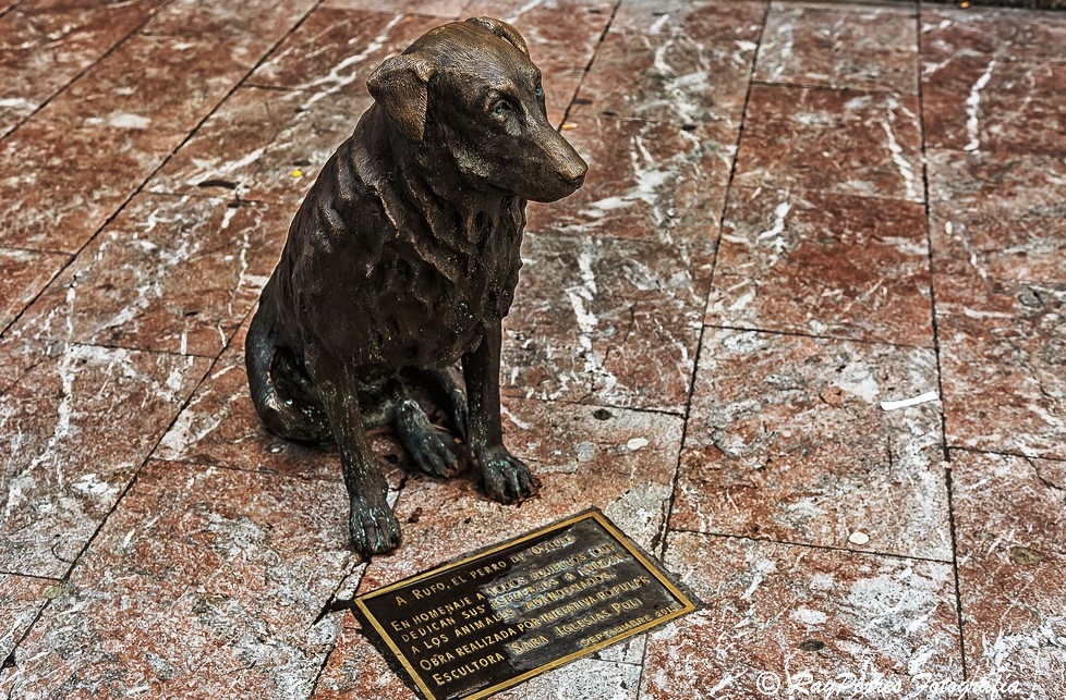 En Oviedo le hicieron un hermoso homenaje a Rufo, un perro que ...