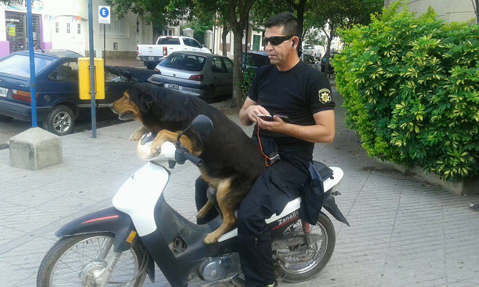 Rocko cumplió 15 años y su dueño le preparó un delicioso asado para ...