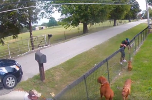 El pequeño Chipper ha vuelto a casa tras el indignante secuestro ...