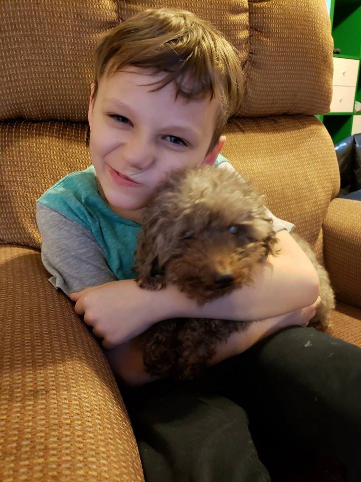Un niño visita un refugio y termina adoptando al perrito más anciano ...