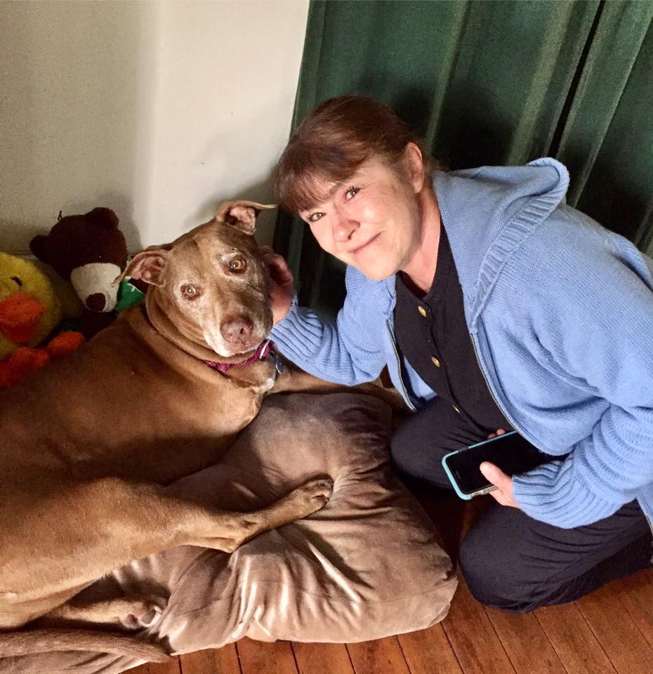 Lilly dio todo para salvar la vida de su dueña, pero 10 años después ...