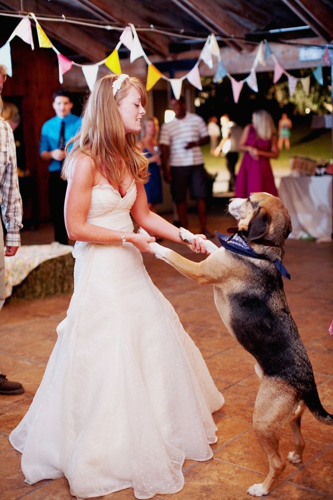Estas parejas lograron incluír a sus mascotas en toda su boda y el ...