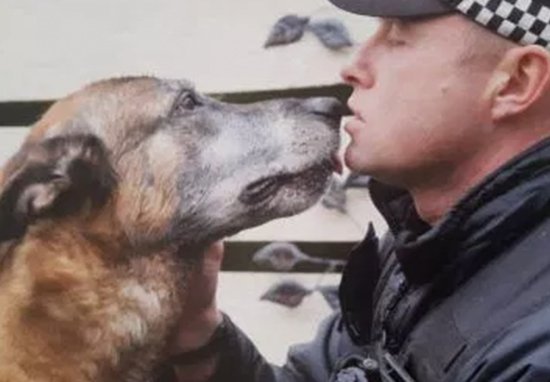 Héroe canino de la policía que salvó a una mujer dio su último aliento ...