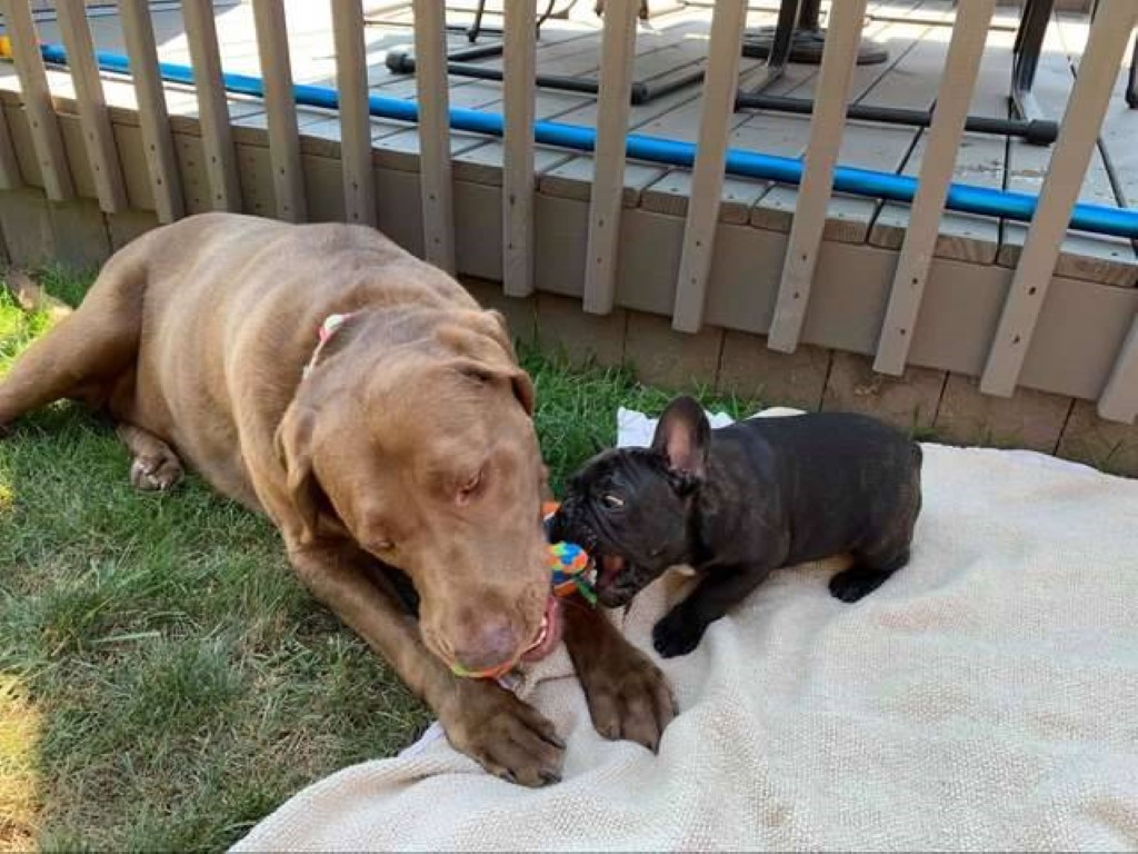 Hannah se queda dormida de tanto llorar después de que su mejor amigo ...