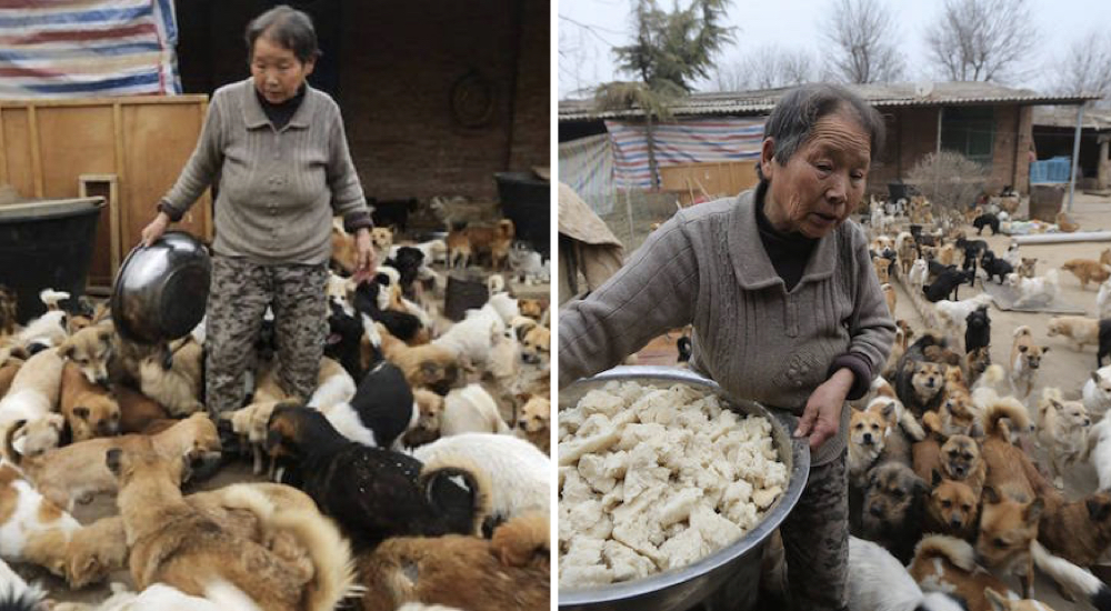 Cinco abuelas madrugan a las 4 de la mañana para cuidar a más de 1.000 ... Cinco abuelas madrugan a las 4 de la mañana para cuidar a más de 1.000 ...