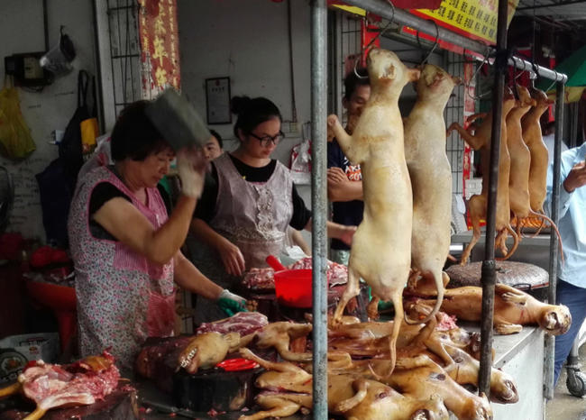 Tras años de lucha en esta ciudad China prohibirán el consumo de carne ...