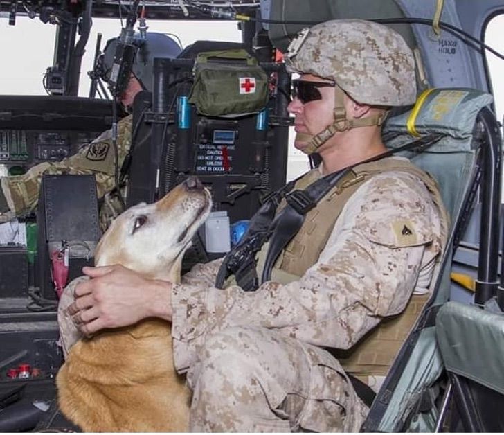 Una nueva estatua honra a la lealtad de los perros que acompañan a los ...