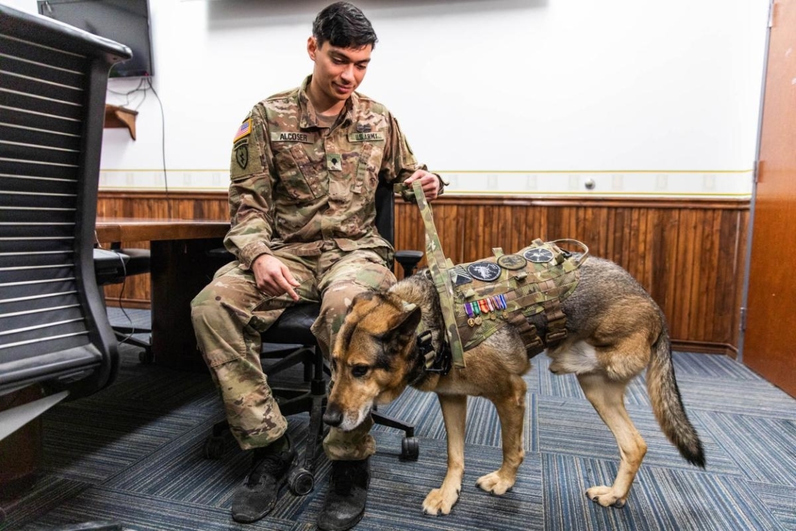 Un soldado y su leal perro sobreviven a una tragedia gracias al ...