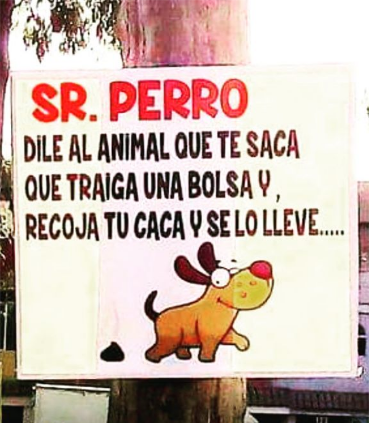 Ponen un letrero dirigido a los "animales" que sacan a pasear a los ...