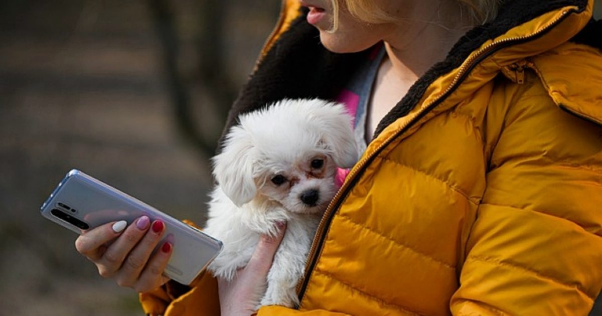 El 40% de dueños encuestados entregarían sus mascotas para conservar su ...