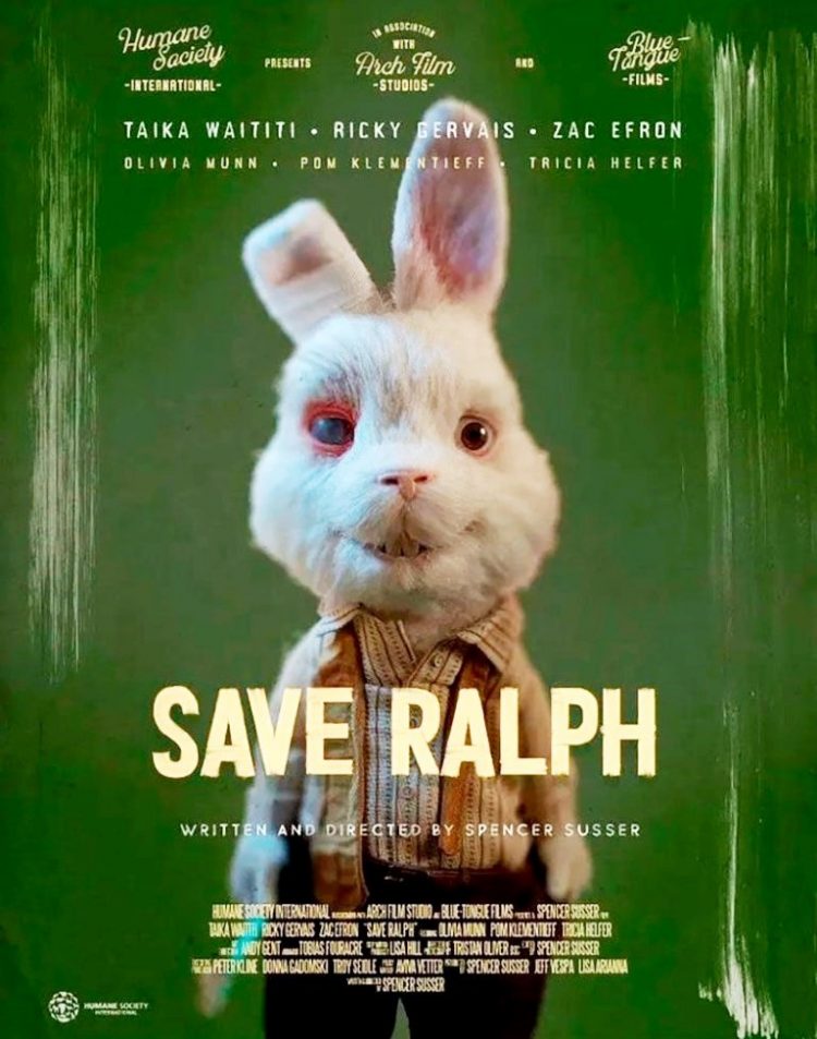 Un conejo emociona al mundo contando el drama que sufre sometido a ...