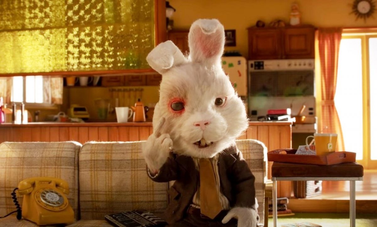 Un conejo emociona al mundo contando el drama que sufre sometido a ...