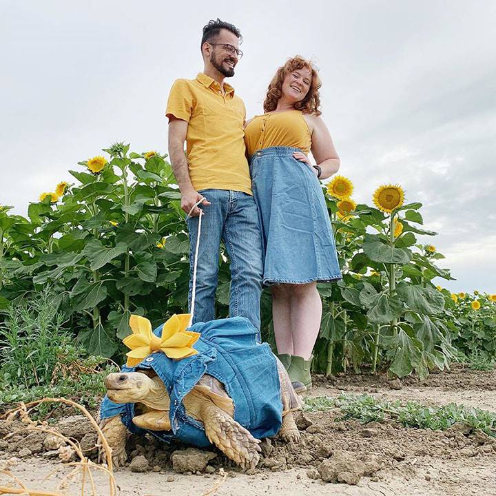 Tortuga consentida conquista las redes luciendo hermosos atuendos a ...