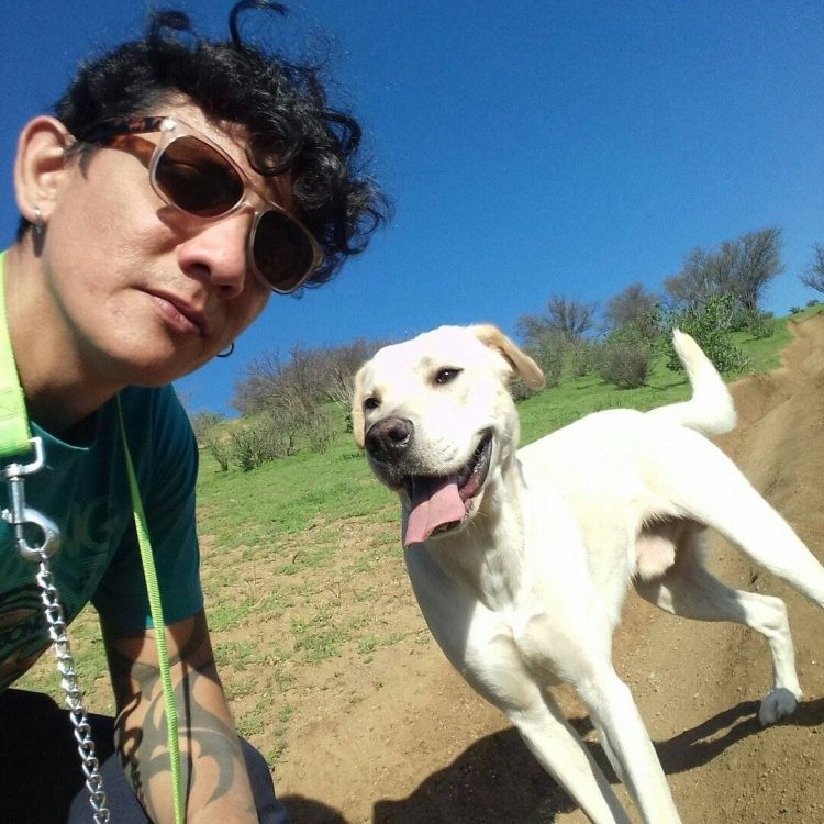 Perrito con traje festivo acompaña a sus dueños a vender dulces en las ...