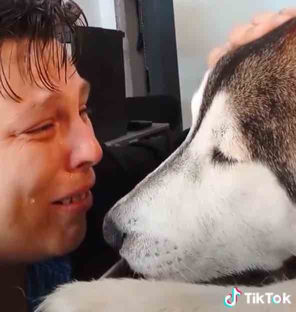 "Sé que también me amaste": Entre lágrimas despide a su perrito tras 12 ...